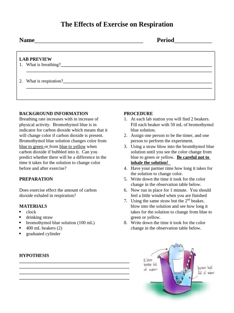 Bromothymol Blue Exercise Respiration | PDF | Breathing | Respiration