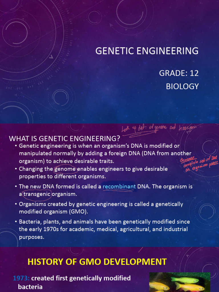 Genetic Engineering Overview for Grade 12 | PDF | Genetic Engineering ...