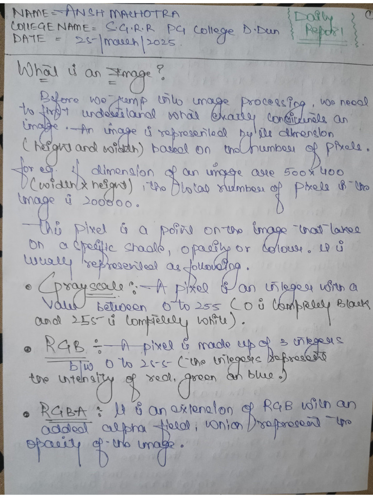 Daily Work Report by Ansh Malhotra | PDF