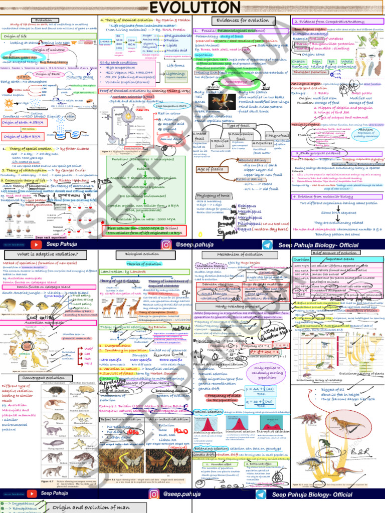 Evolution - One Shot - Watermark | PDF | Natural Selection | Homo