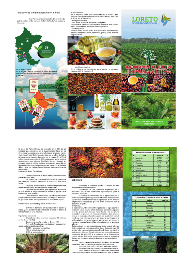 Triptico CTP Q | PDF