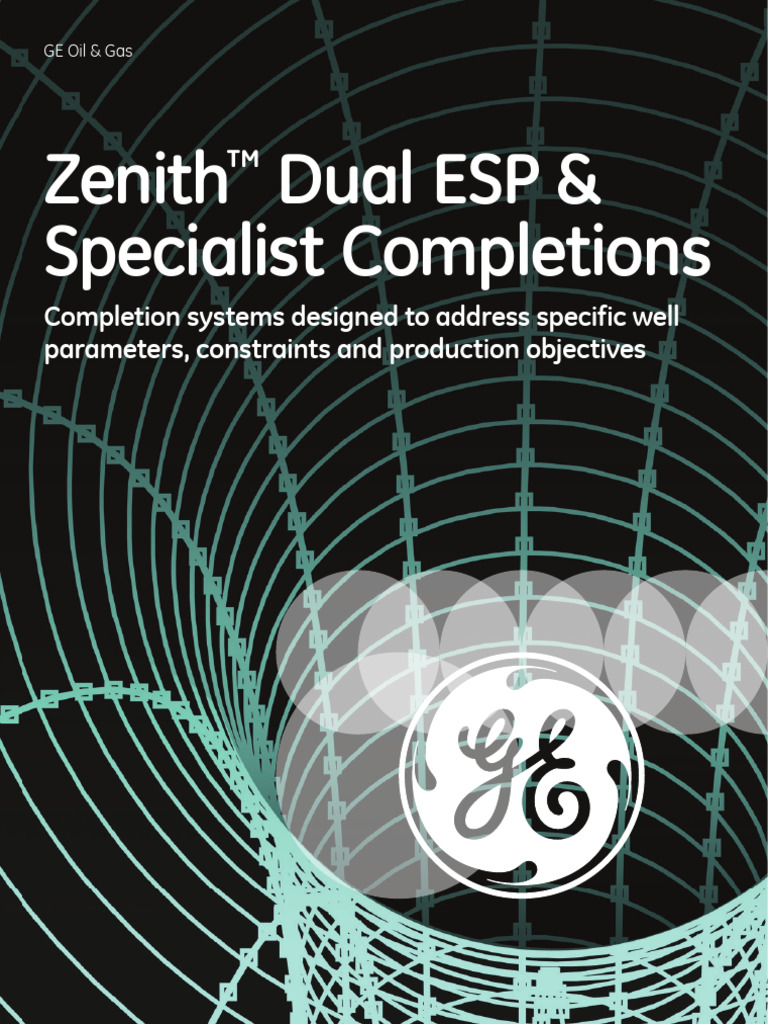 Zenith Dual ESP & Specialist Completions | PDF | Pump | Valve