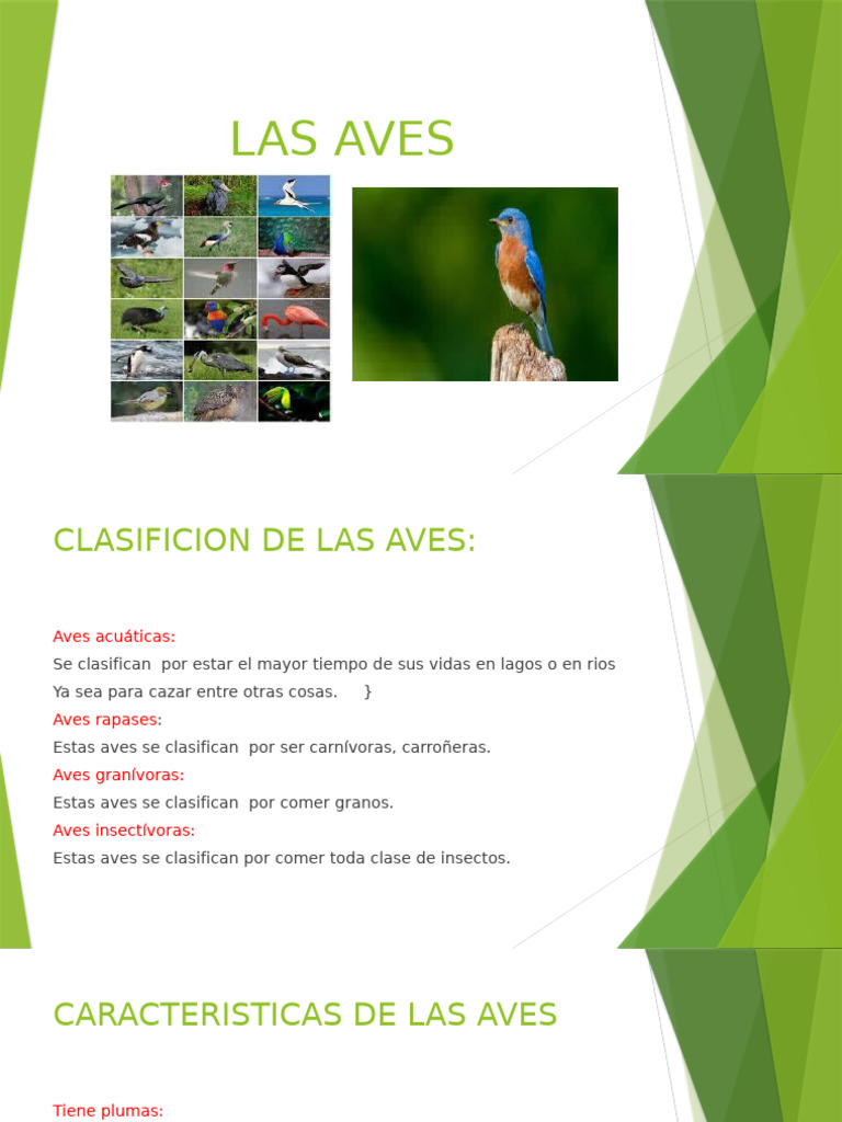 LAS AVES | PDF