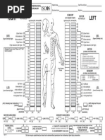 Asia Scale | PDF | Anatomical Terms Of Motion | Spinal Cord Injury