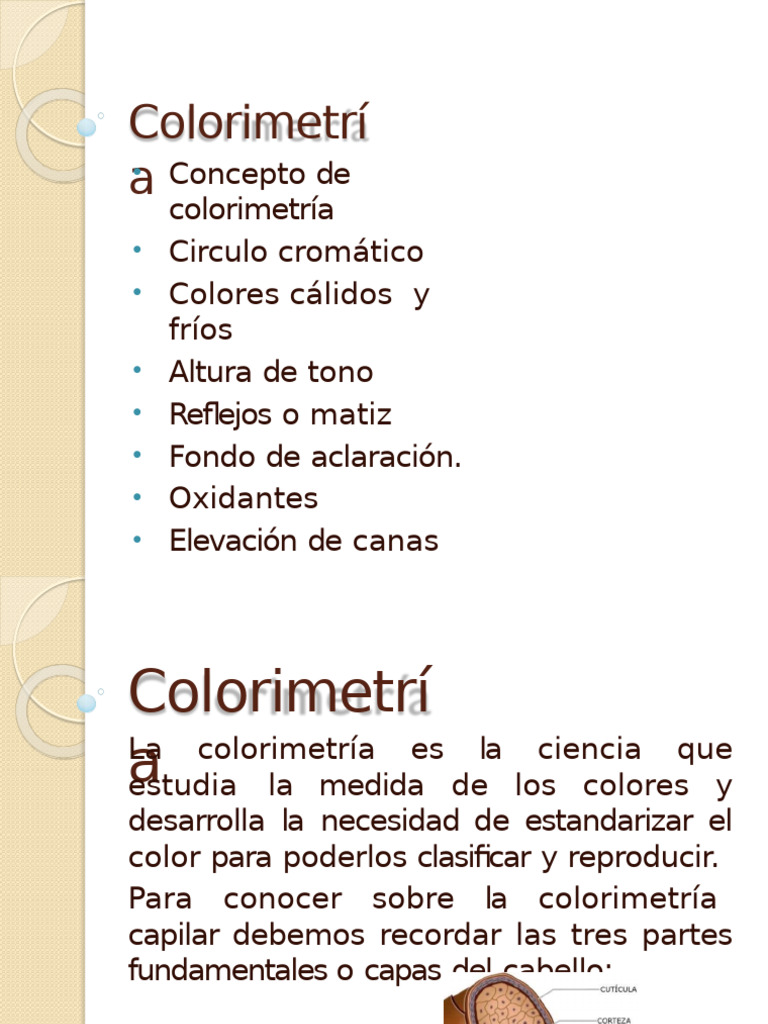 Guía Completa de Colorimetría Capilar | PDF | Color | Matiz