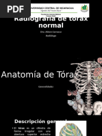 Proyecciones PA Y AP | PDF | Tórax (anatomía humana) | Anatomía