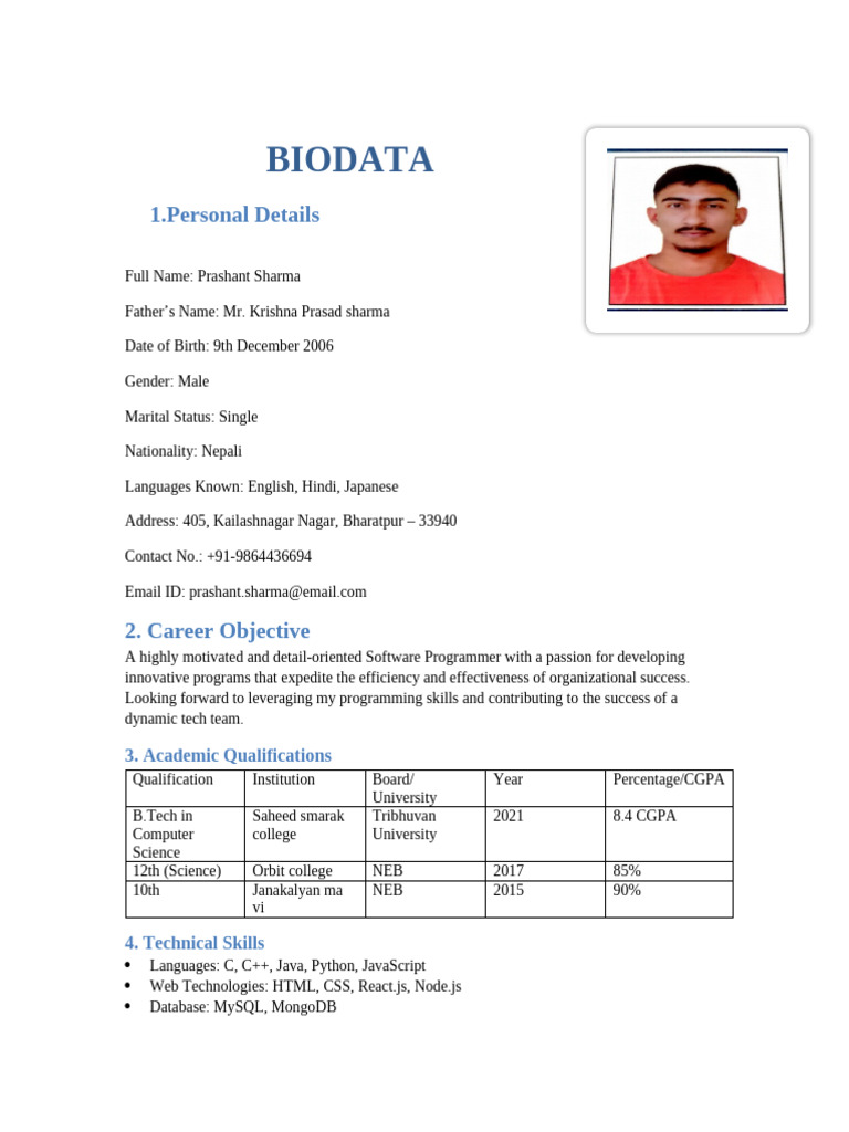 Biodata Software Programmer | PDF