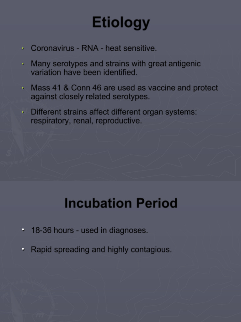 Infectious Bronchitis | PDF