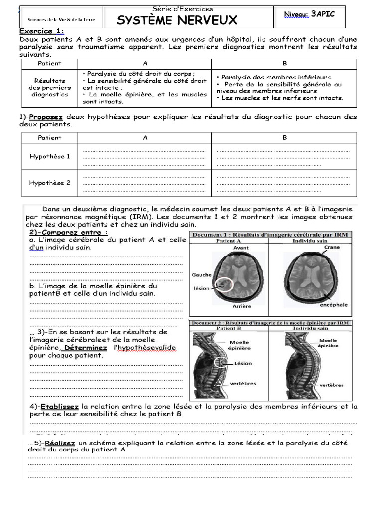 exercices systeme nerv | PDF