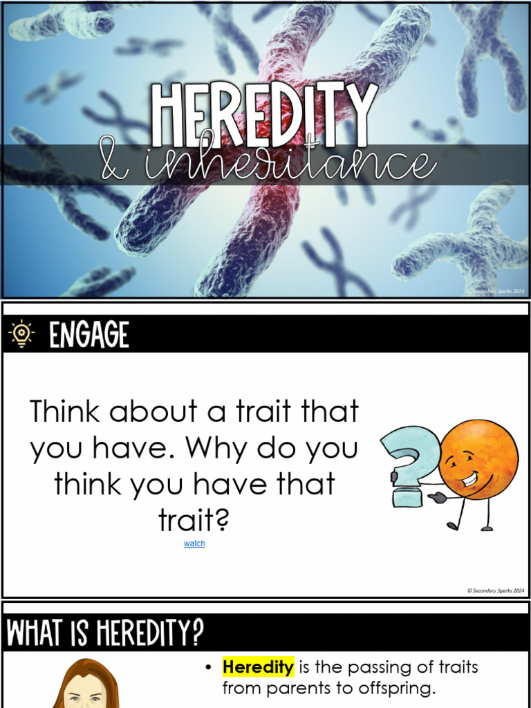 Heredity and Inheritance Lesson | PDF | Dominance (Genetics) | Heredity