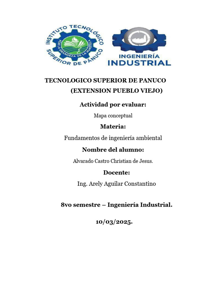 Mapa Conceptual Chris | PDF