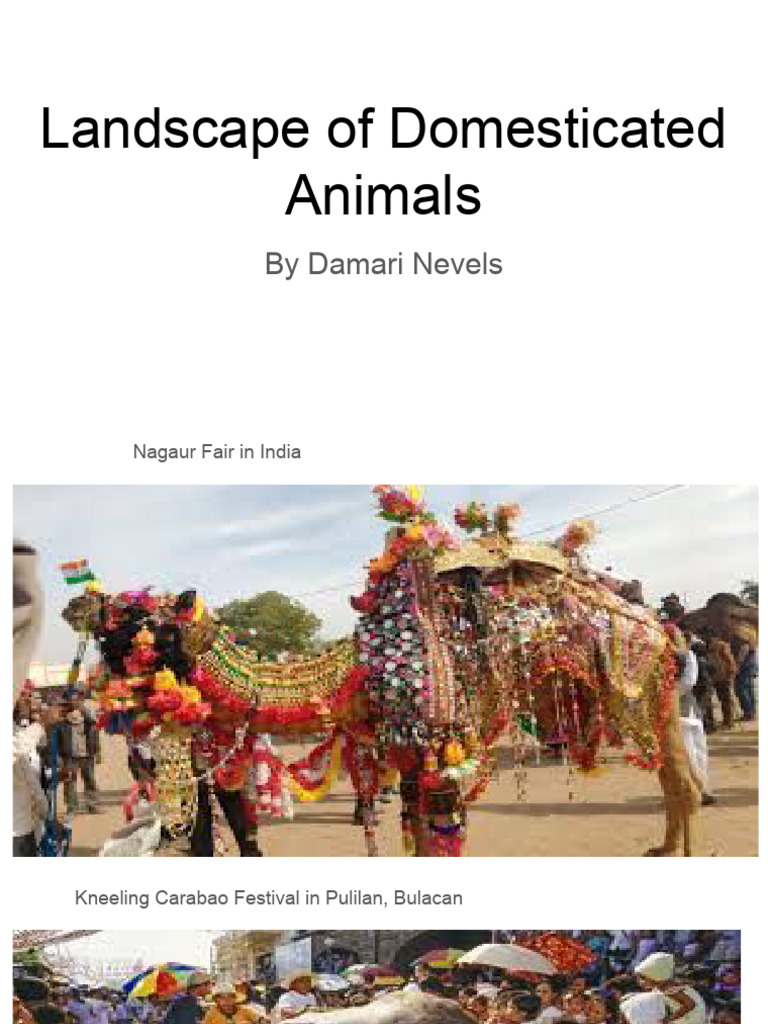 Landscape of Domesticated Animals | PDF