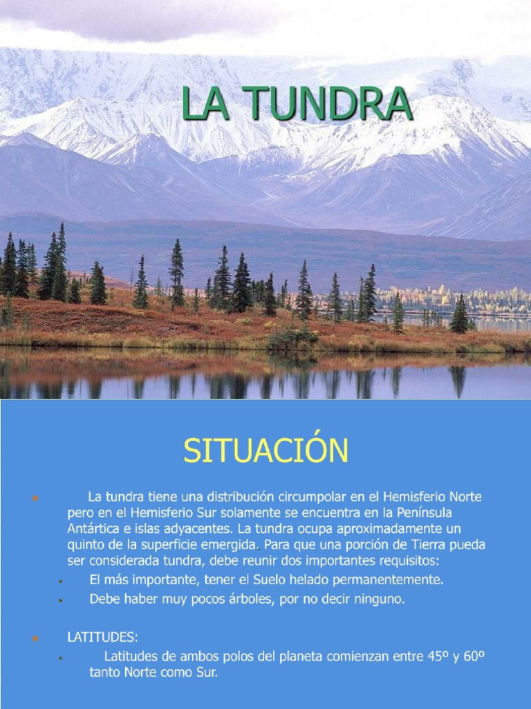 4. Tundra | PDF