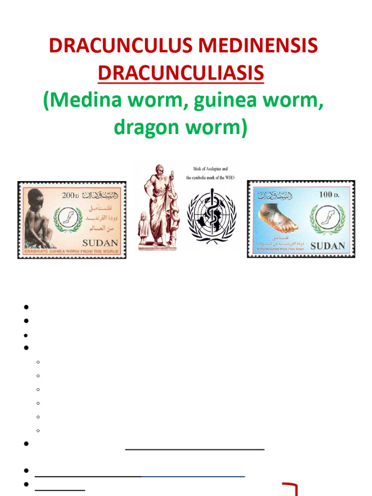 2 New DRACUNCULUS MEDINENSIS | PDF | Clinical Medicine | Microbiology