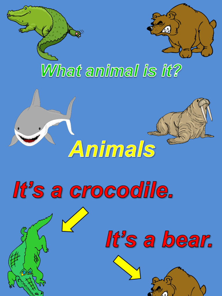 Animals Powerpoint | PDF