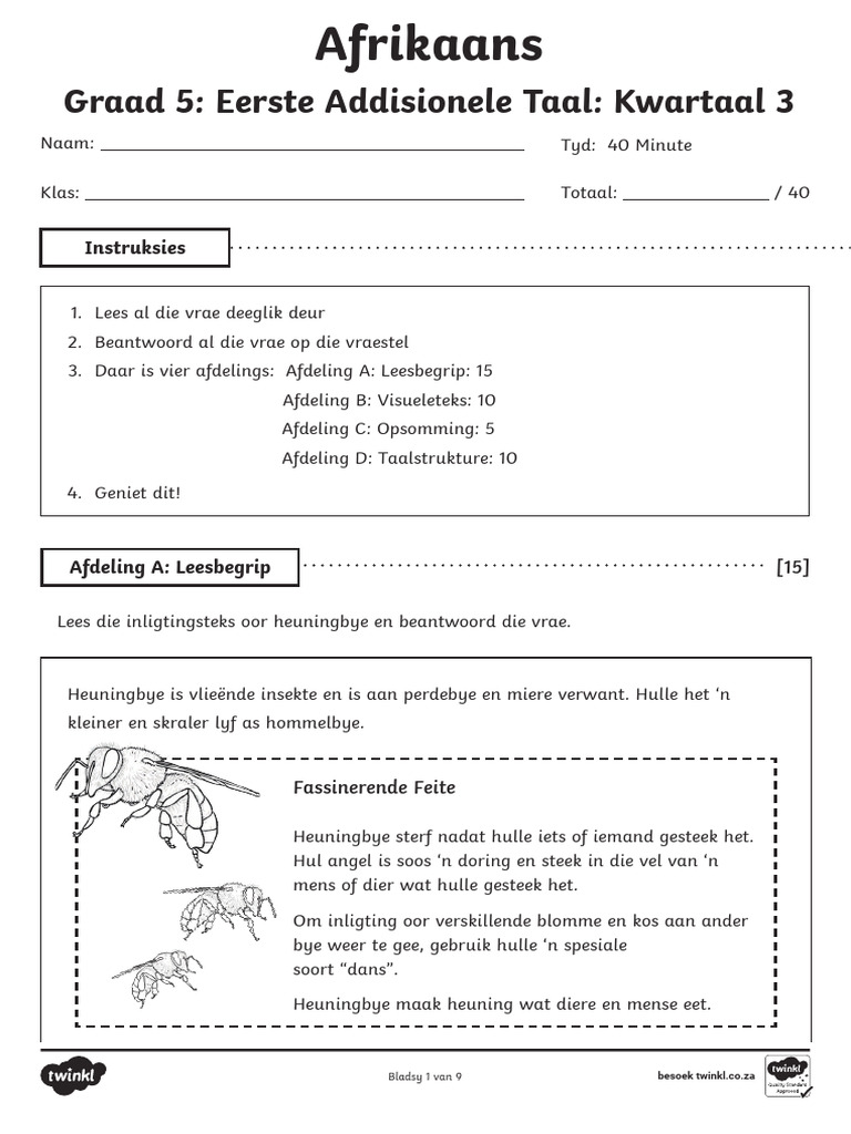 Grade 5 Afrikaans FAL Term 3 Assessment (BW) | PDF