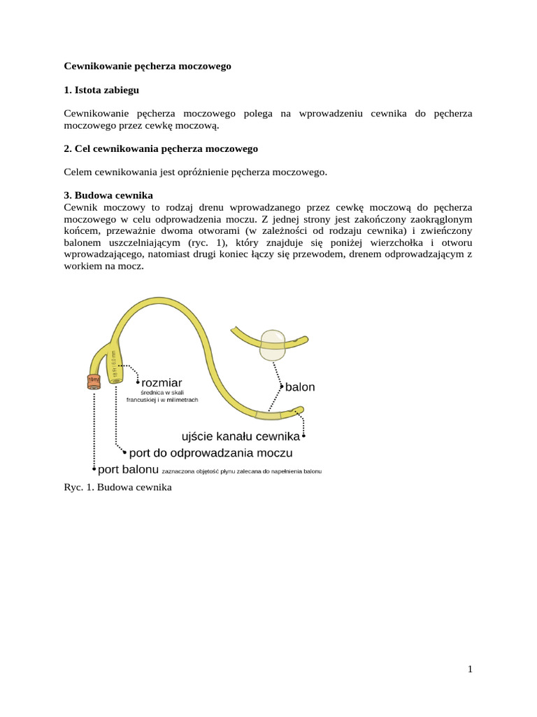 Cewnikowanie Dla Studenów | PDF