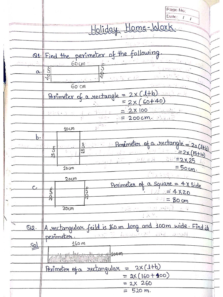 Maths Holiday Homework | PDF