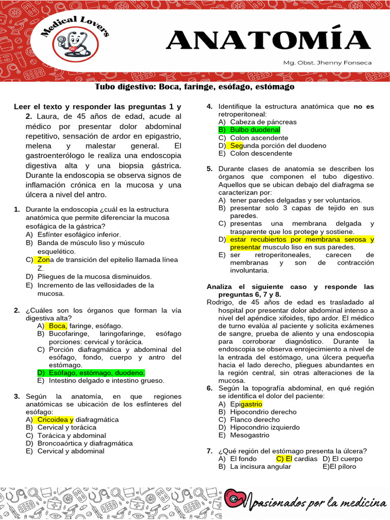 tubo digestivo boca faringe esófago estómago | PDF | Estómago | Tracto ...
