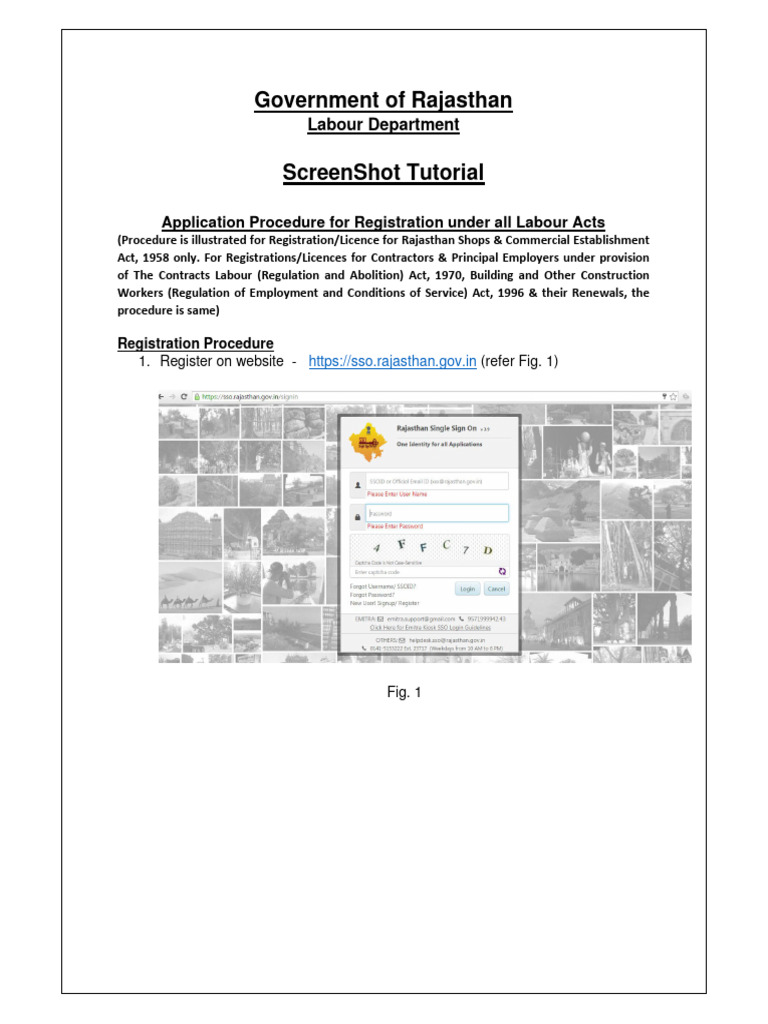 Registrations_Renewal_Tutorial | PDF | Employment | Button (Computing)