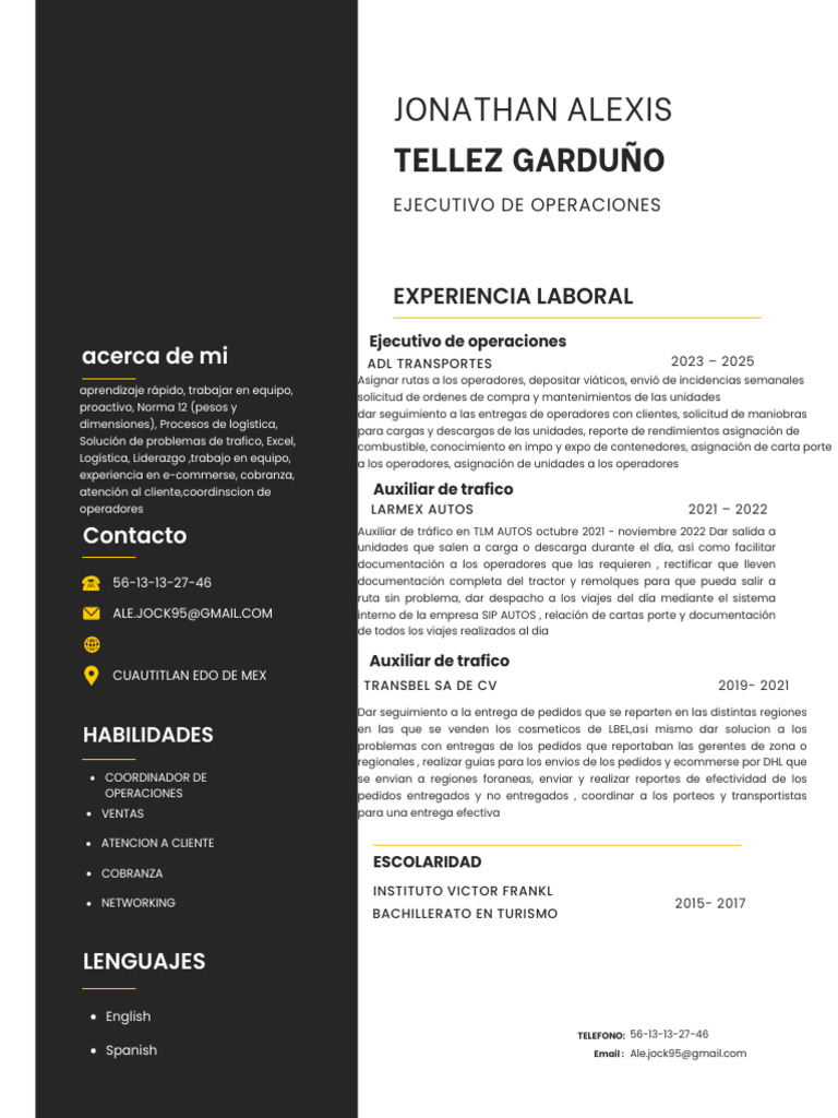 Cv. Alexis Tellez 2025 | PDF