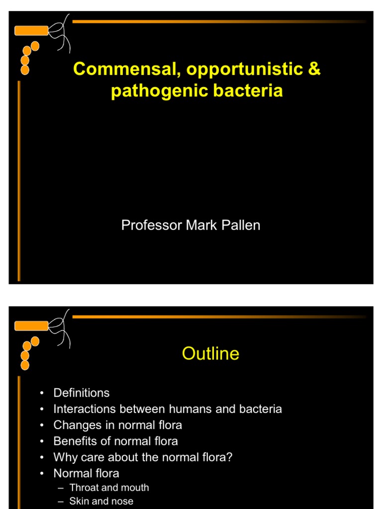 Normal Flora | PDF | Streptococcus | Infection