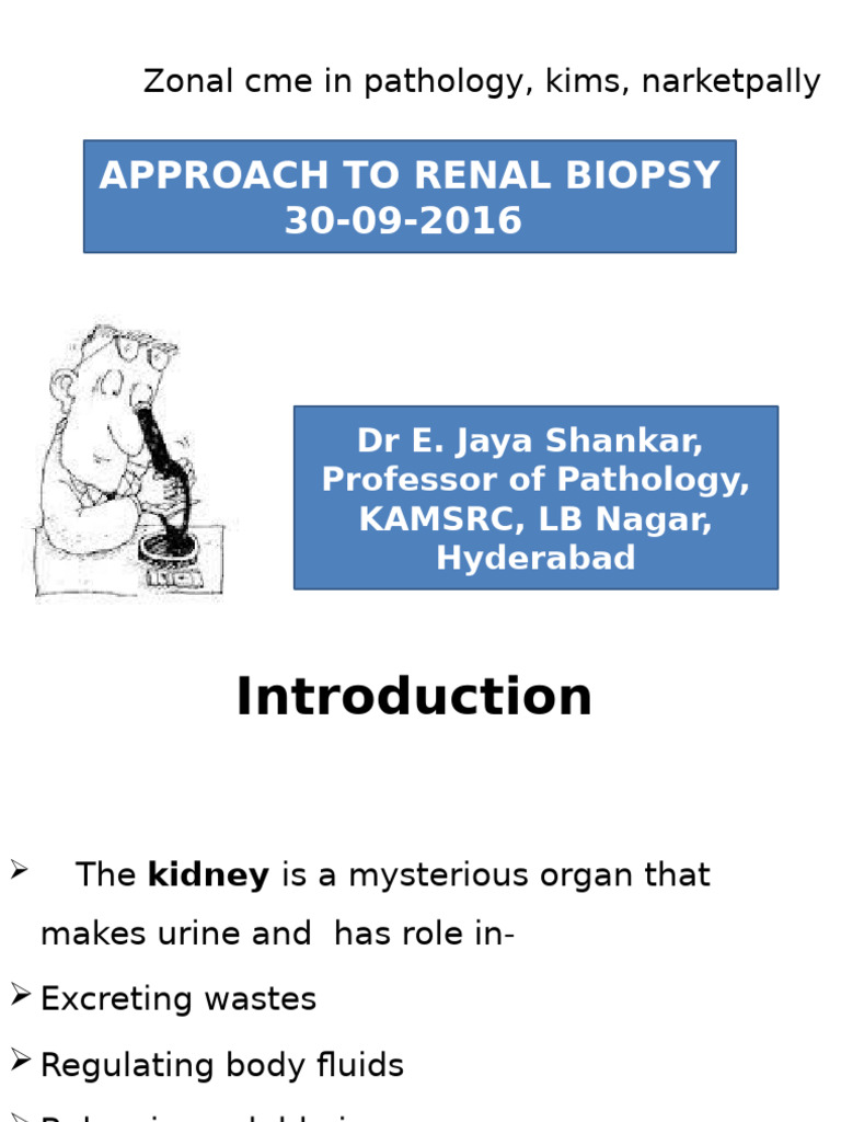 Renal Biopsy Techniques and Indications | PDF | Kidney | Clinical Medicine