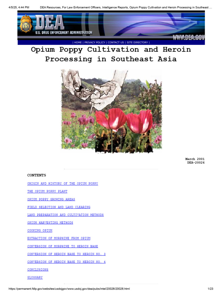 DEA Resources, For Law Enforcement Officers, Intelligence Reports ...