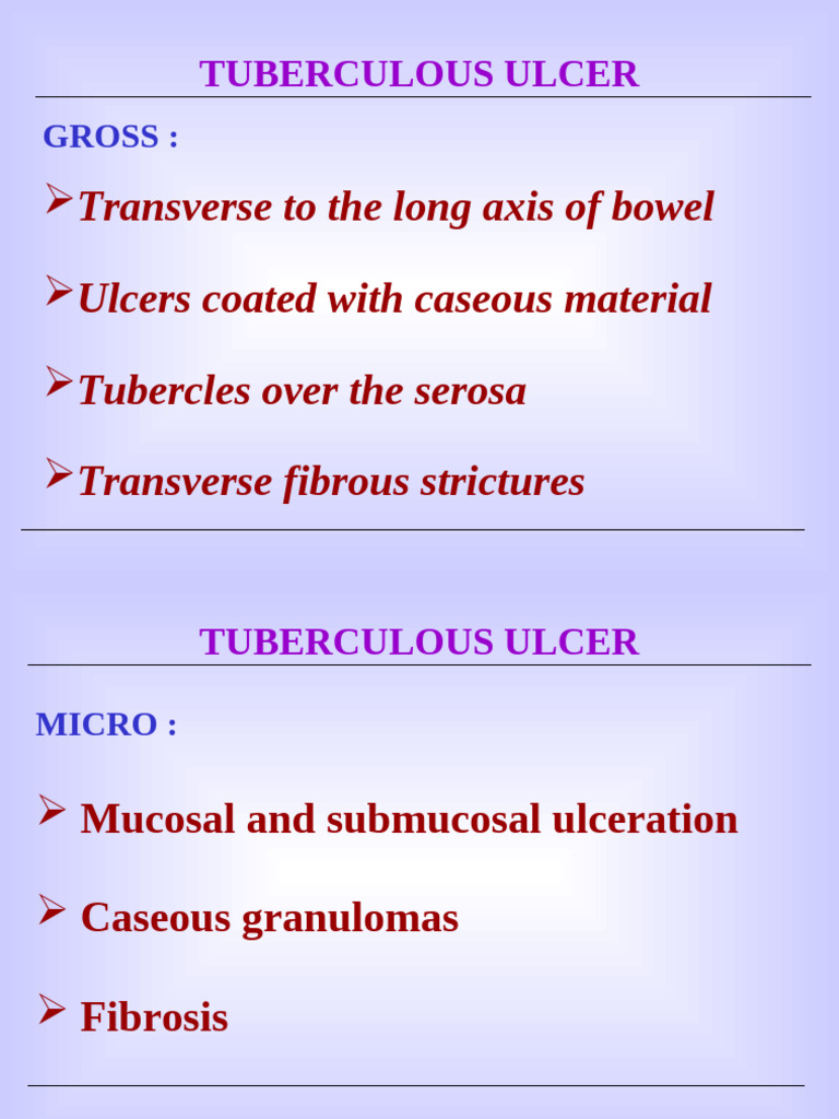 Tuberculous Ulcer | PDF