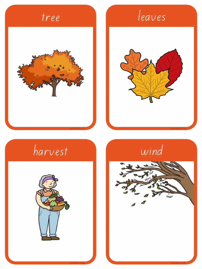 NZ T 102 Autumn Flashcards | PDF