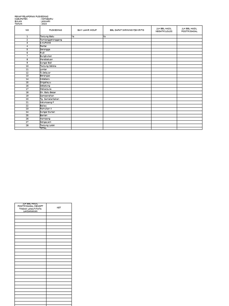 Copy-FORM PJB PUSKESMAS TAHUN 2024 | PDF