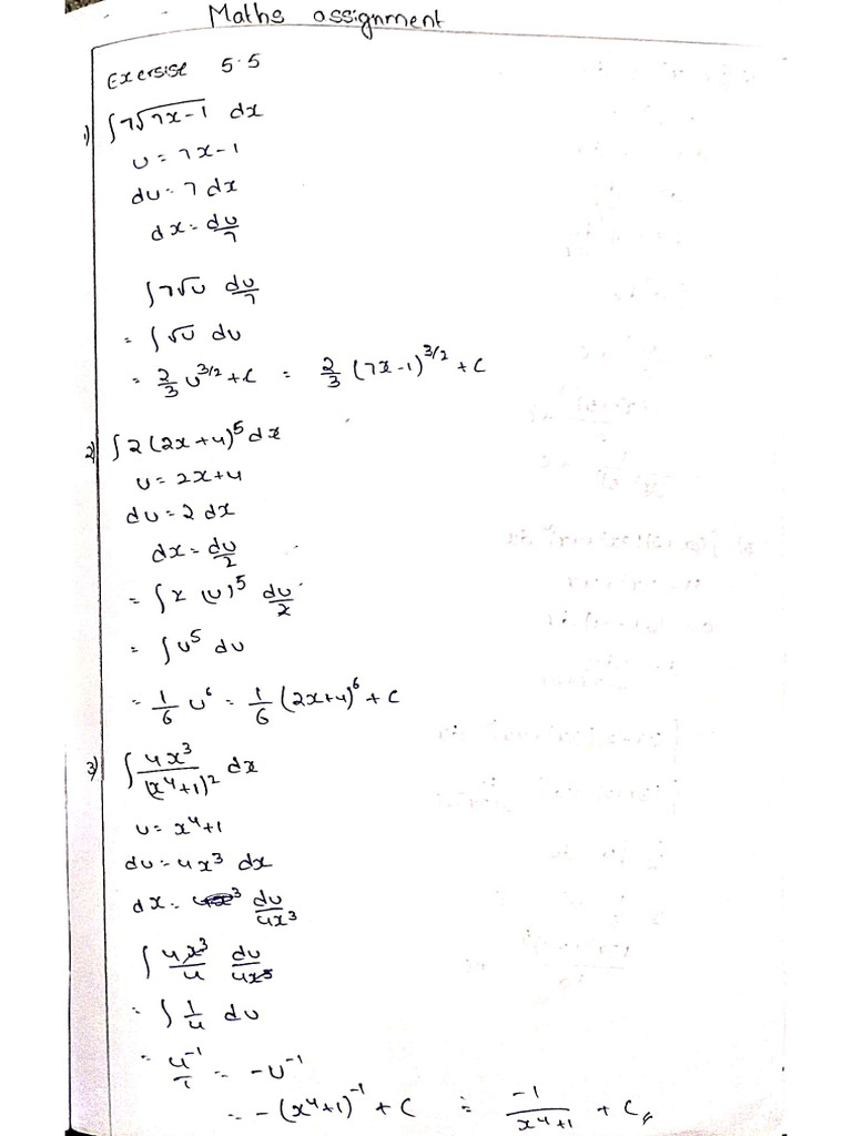 Calculus Assignment 2 | PDF