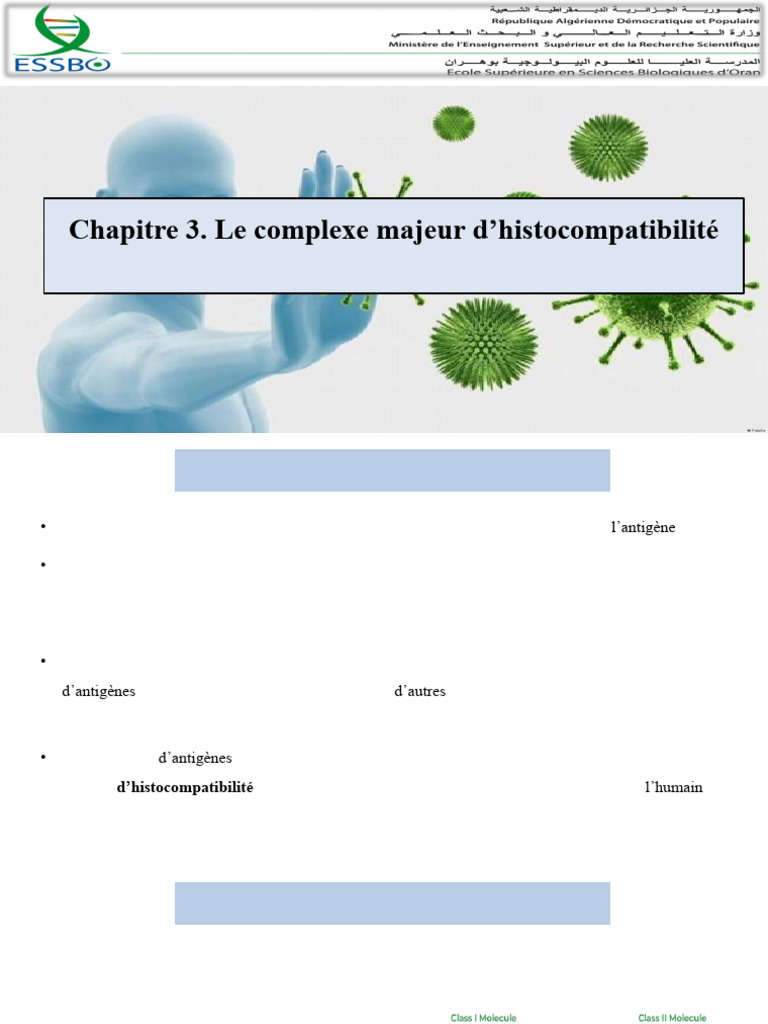 Structure et Fonction du CMH en Immunologie | PDF | Complexe majeur d ...