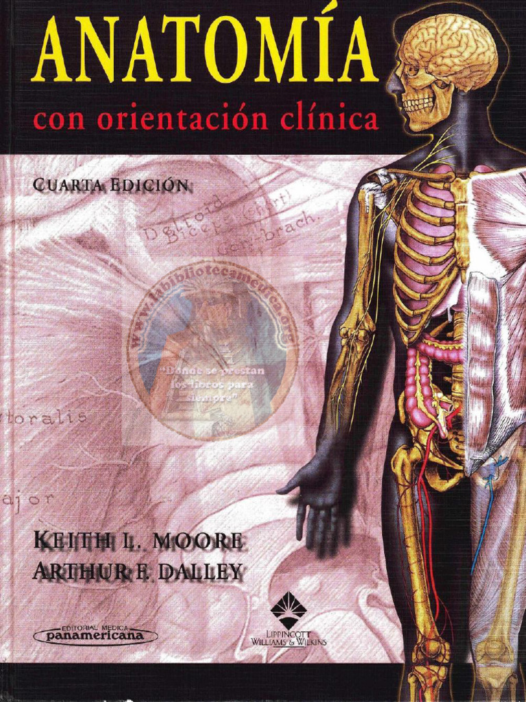 ANATOMIA Con Orientacion Clinica - Keith L. Moore & Arthur F. Dalley ...