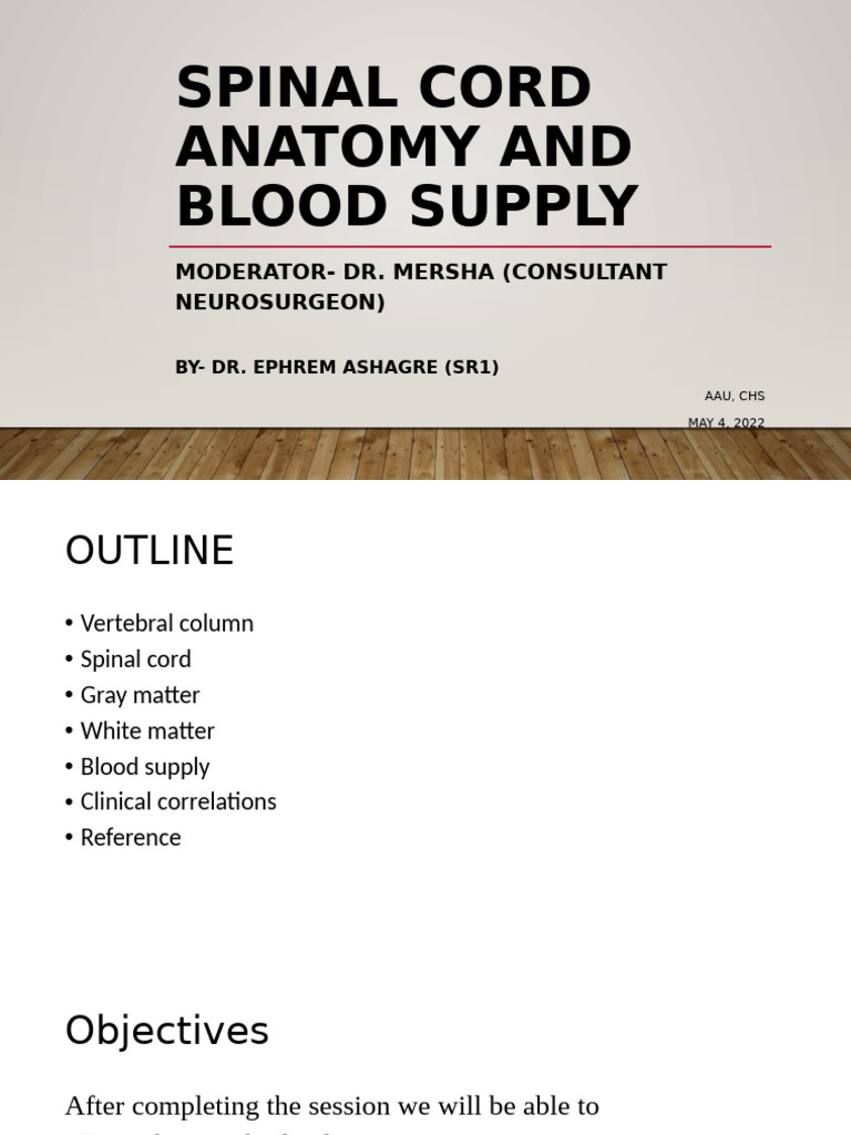 2.spinal Cord Anatomy and Blood Supply DR - Ephrem 2022 | PDF | Vertebral Column | Vertebra