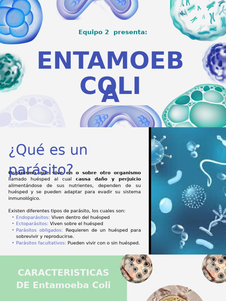 Entamoeba coli: Características y Prevención | PDF | Microbiología ...
