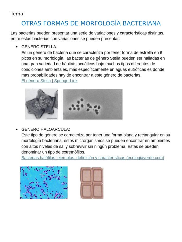 EXPO BACTER | PDF