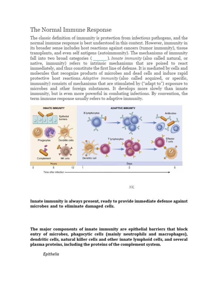The Normal Immune Response Robbins | PDF | Immune System | Lymphocyte