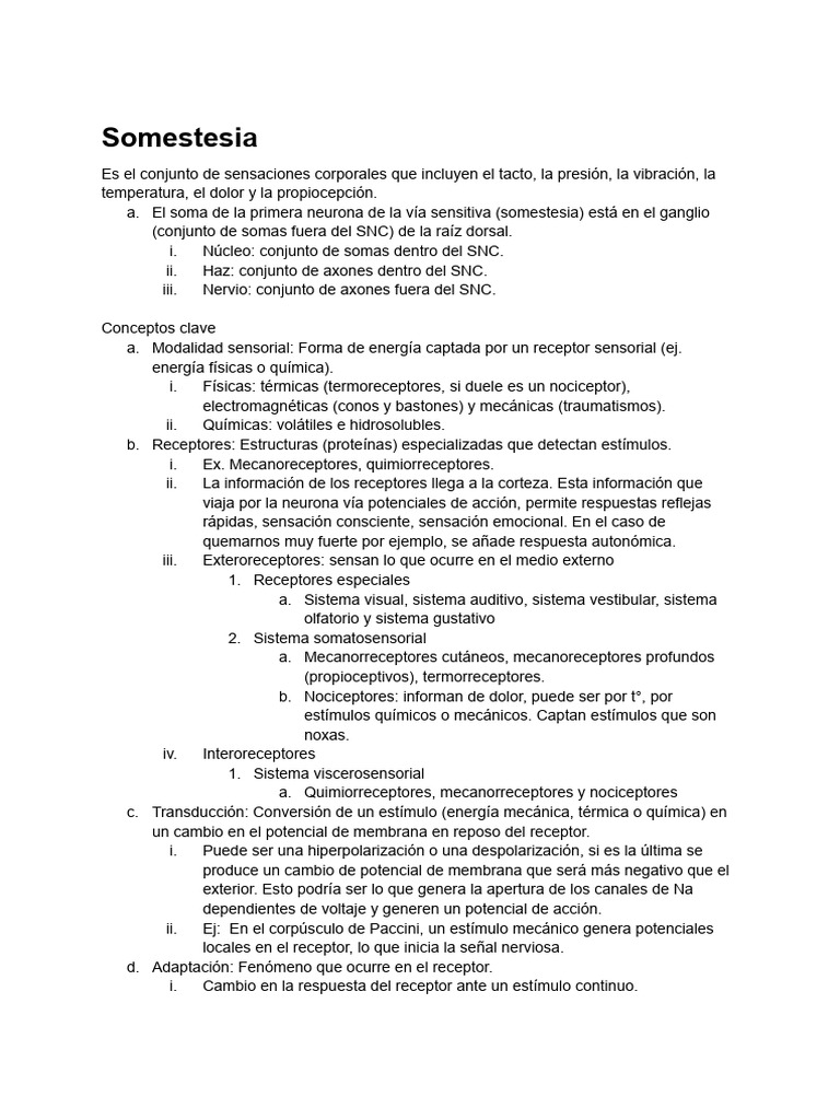 Somestesia | PDF | Dolor | Sistema somatosensorial
