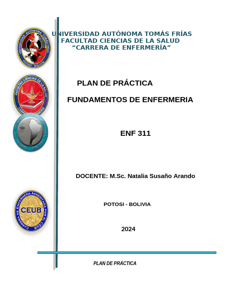 Plan de Practica 2024 | PDF | Enfermería