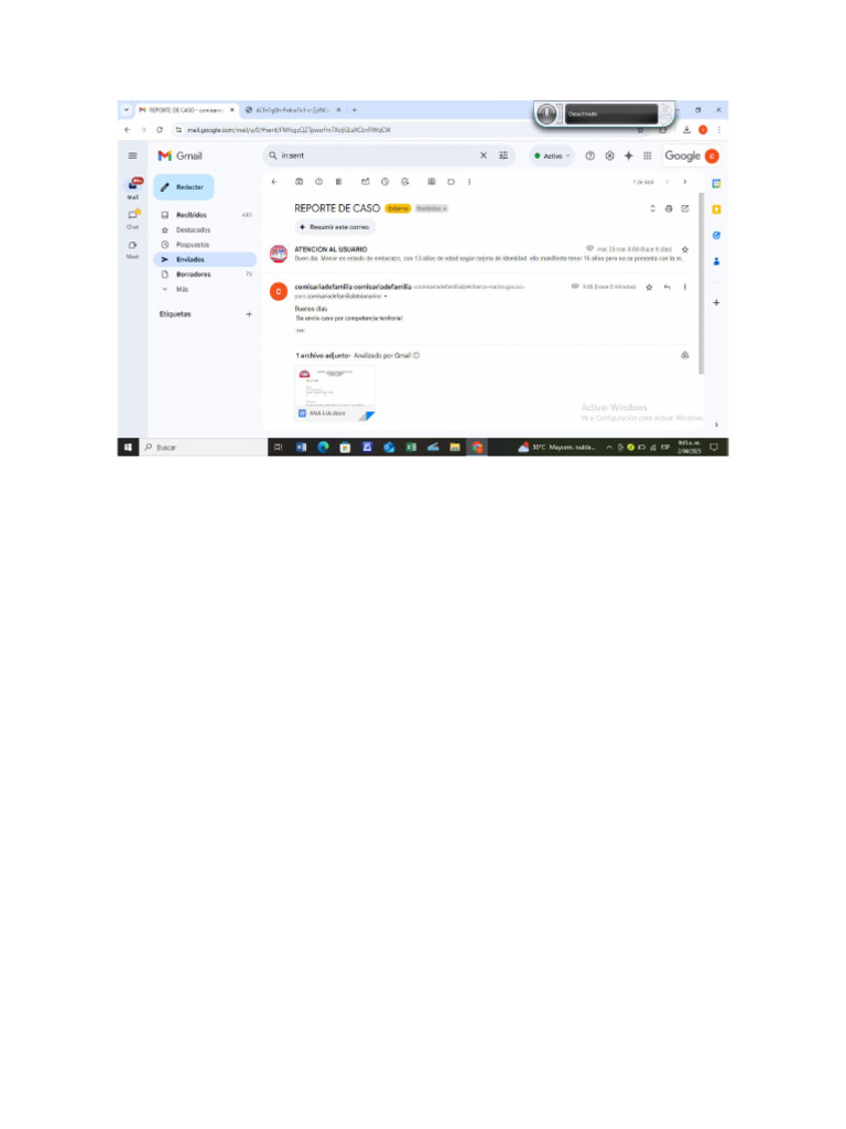 Pantallazo Caso | PDF