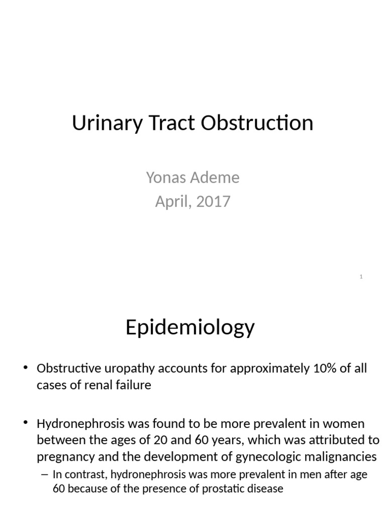 12.urinary Tract Obstruction | PDF | Kidney | Urinary System