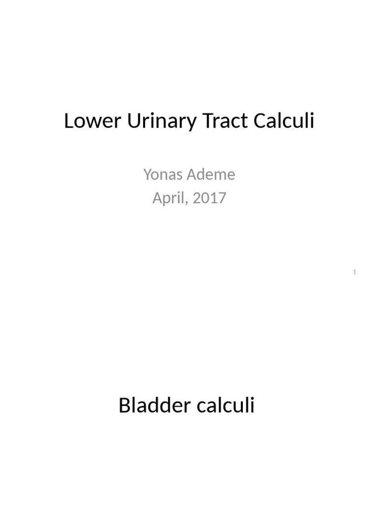 7.lower Urinary Tract Calculi | PDF | Prostate | Clinical Medicine