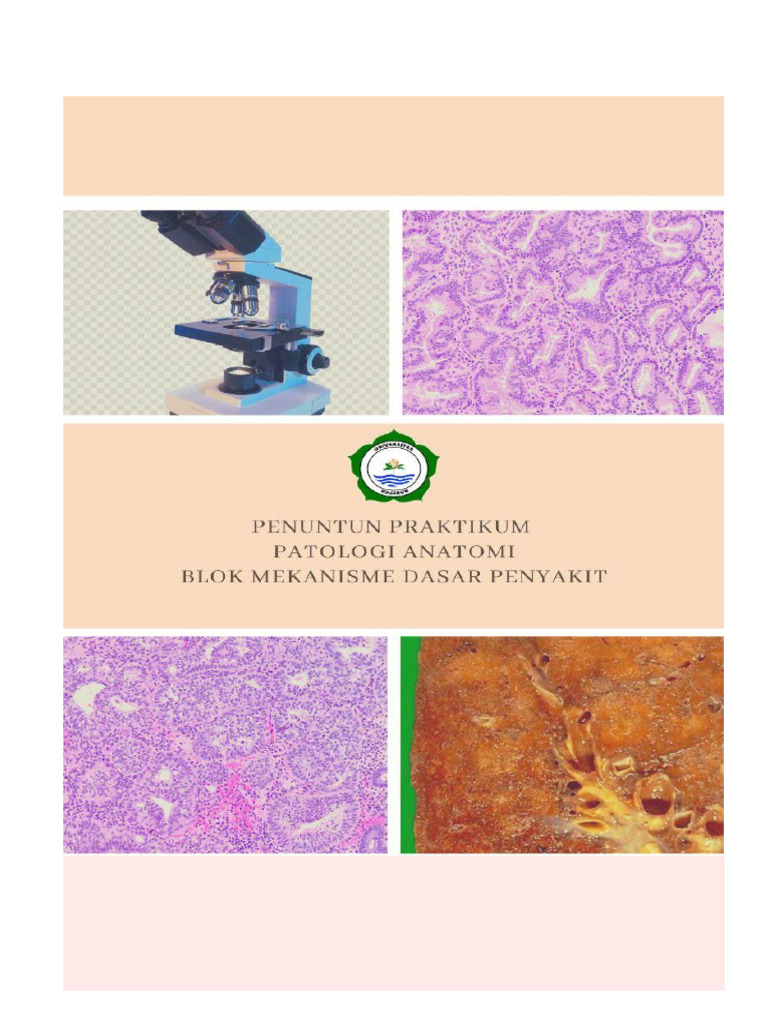 PENUNTUN PRAKTIKUM PA MDP 2024 | PDF