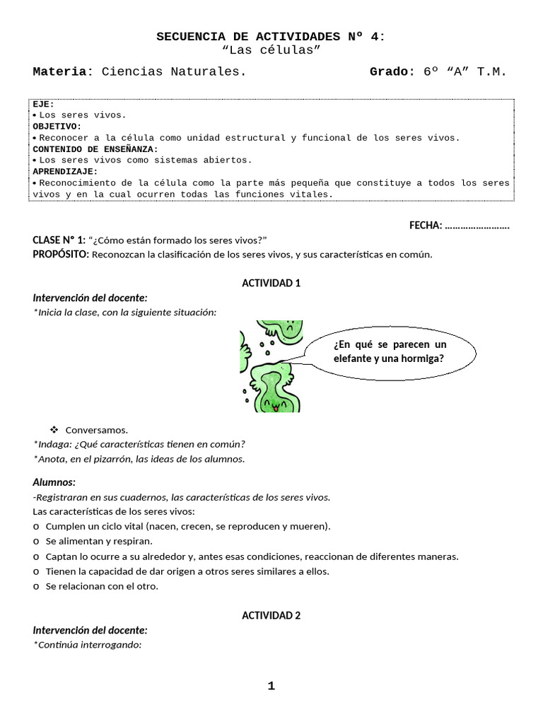 Tipos y funciones de las células | PDF | Biología Celular) | Citoplasma