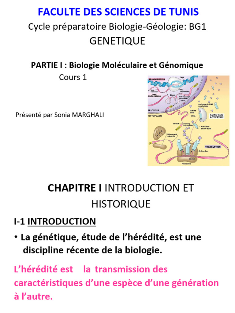 Introduction à la Génétique et Histoire | PDF | Nucléotides | ADN