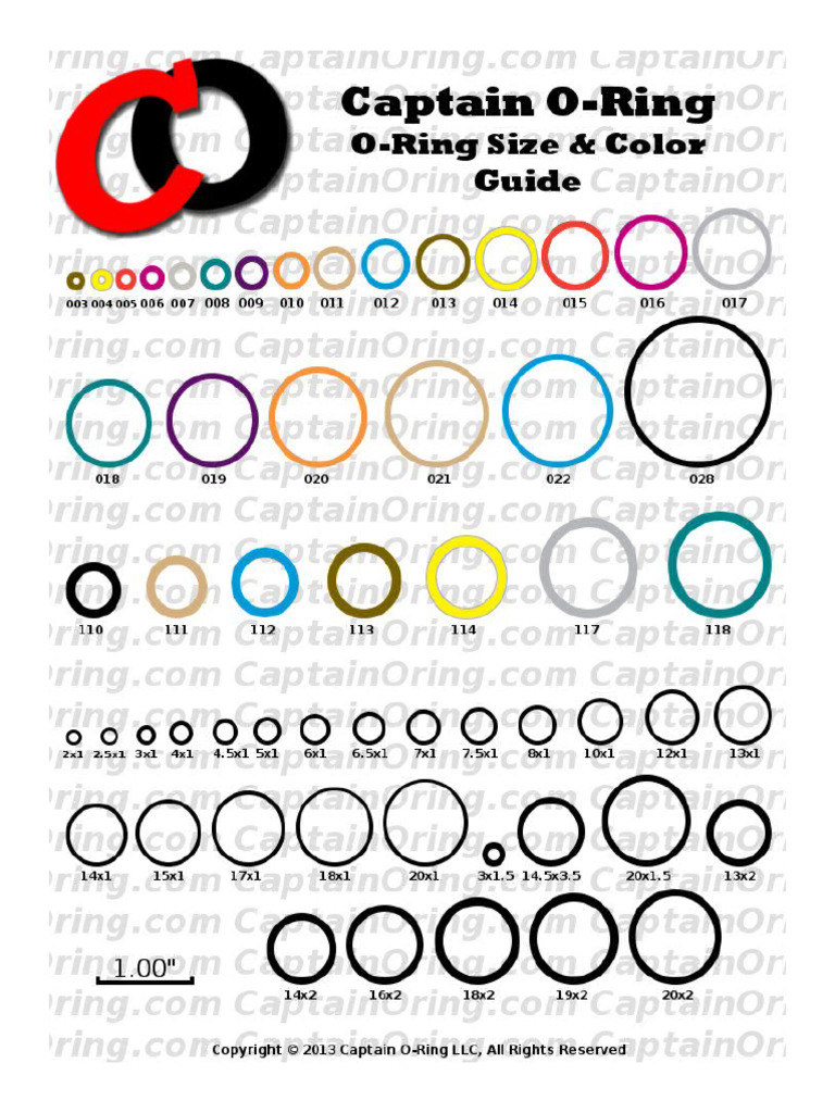 Colour Captain O-Ring Size Chart | PDF