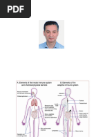 Tissue and Organs of The Immune System: Learning Goals | PDF | Lymph Node | Lymphatic System