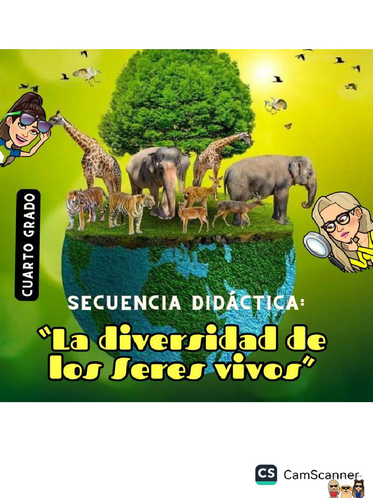 Diversidad de los Seres Vivos en 4to Grado | PDF | Biodiversidad ...