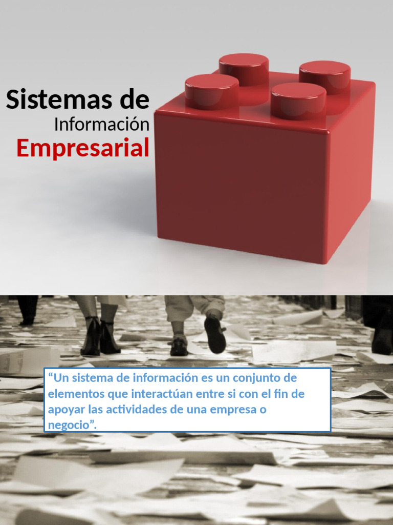 Los Sistemas de Informacion Empresarial | PDF | Datos | Hardware de la computadora